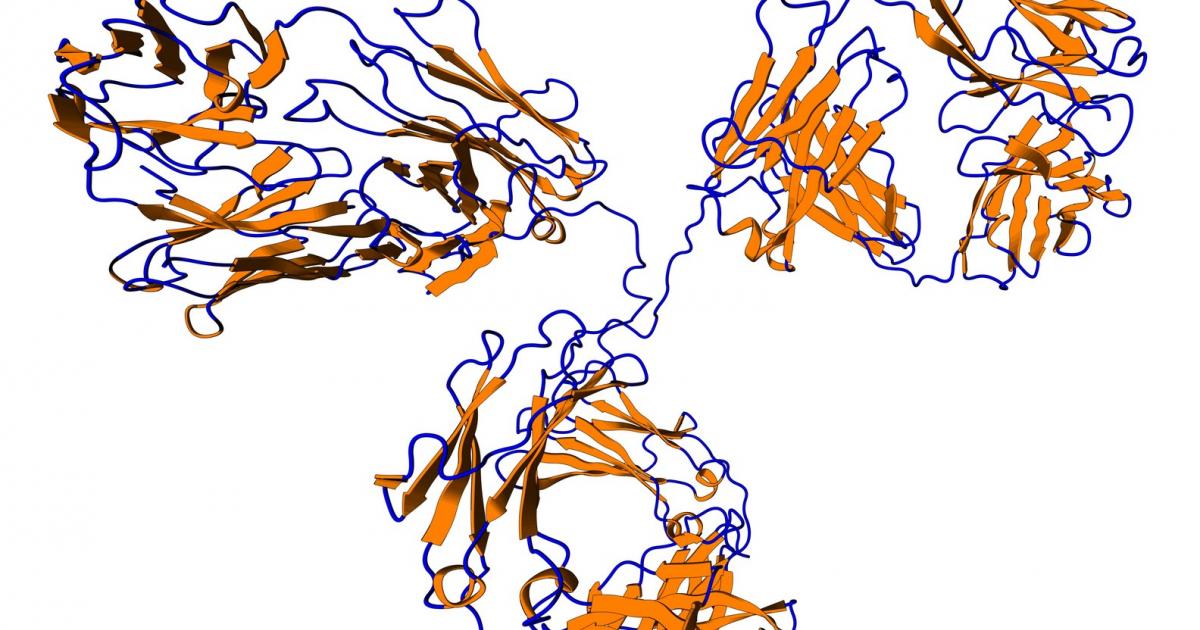 Analytical workflows for charge variant analysis of monoclonal ...