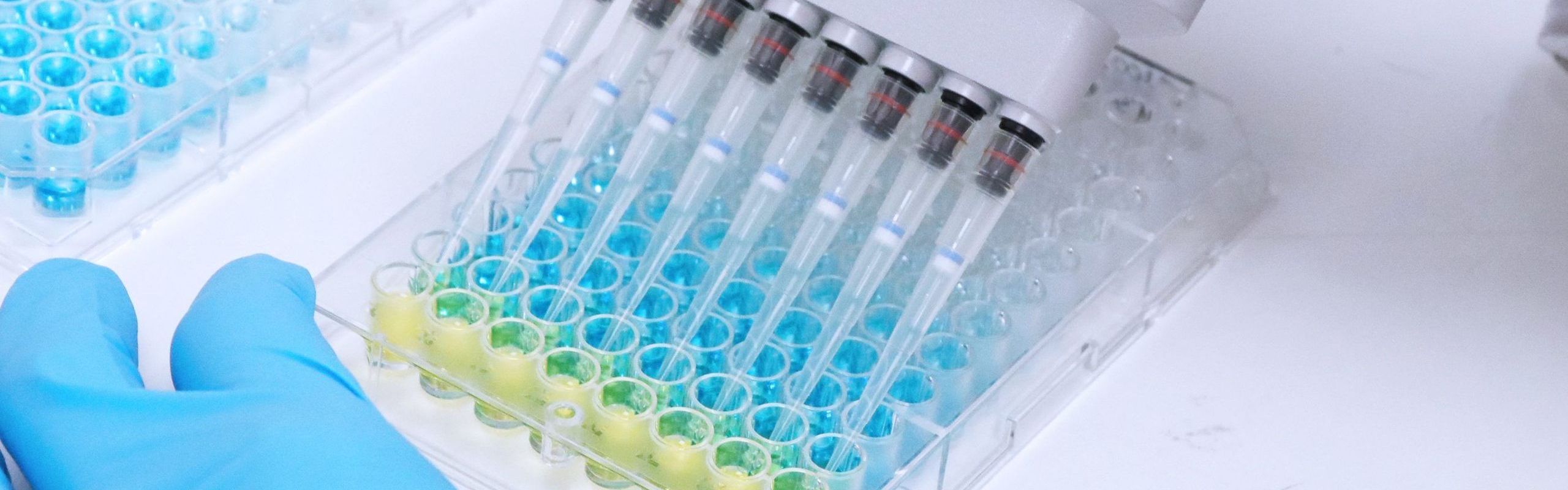 Bioanalytical Services | Quality Assistance