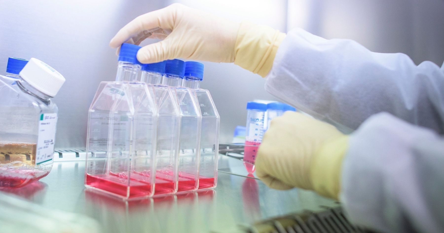 Potency assays | Quality Assistance