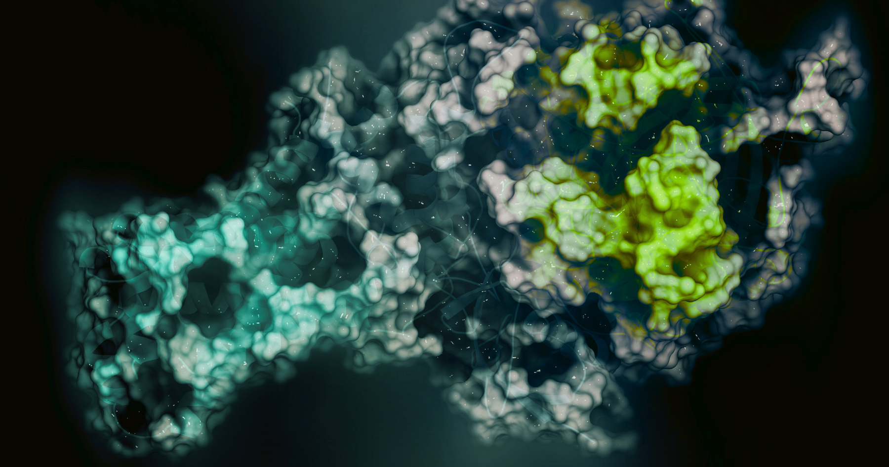 Subunit and polysaccharide-conjugated vaccines | Quality Assistance