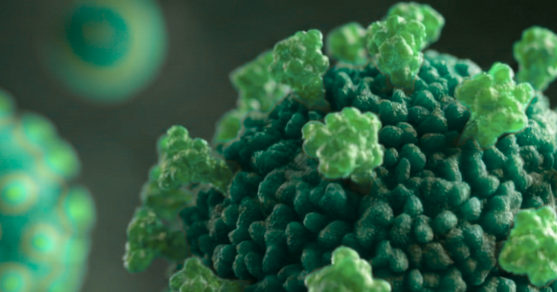 Recombinant viral vector vaccines | Quality Assistance