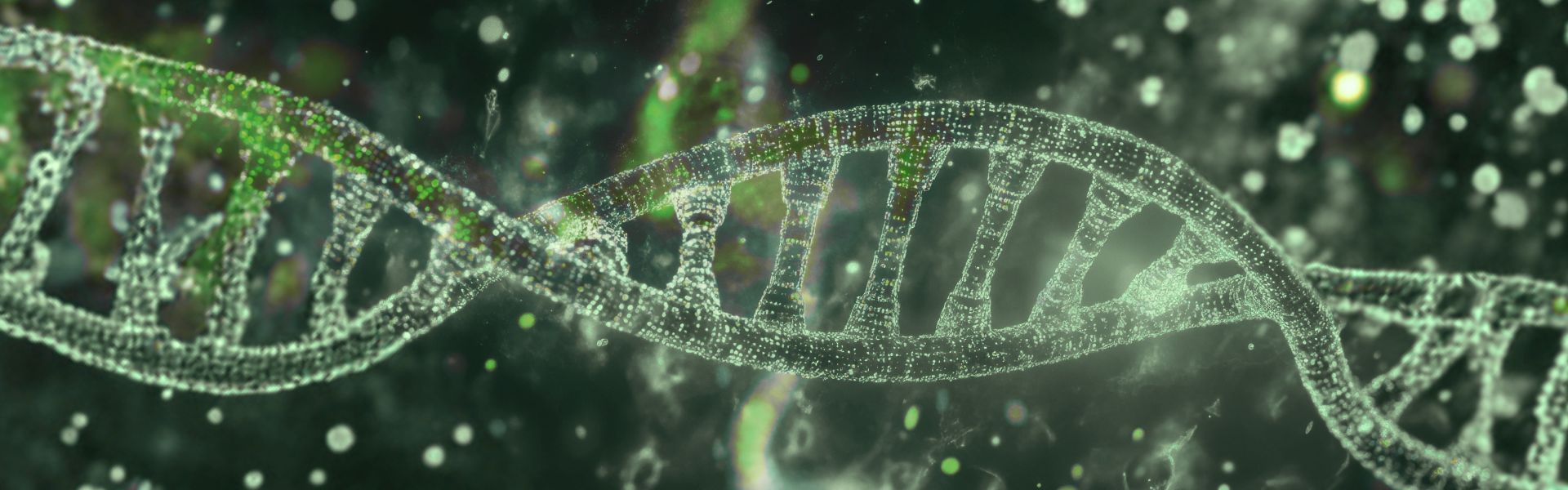 Plasmid DNA vaccines | Quality Assistance