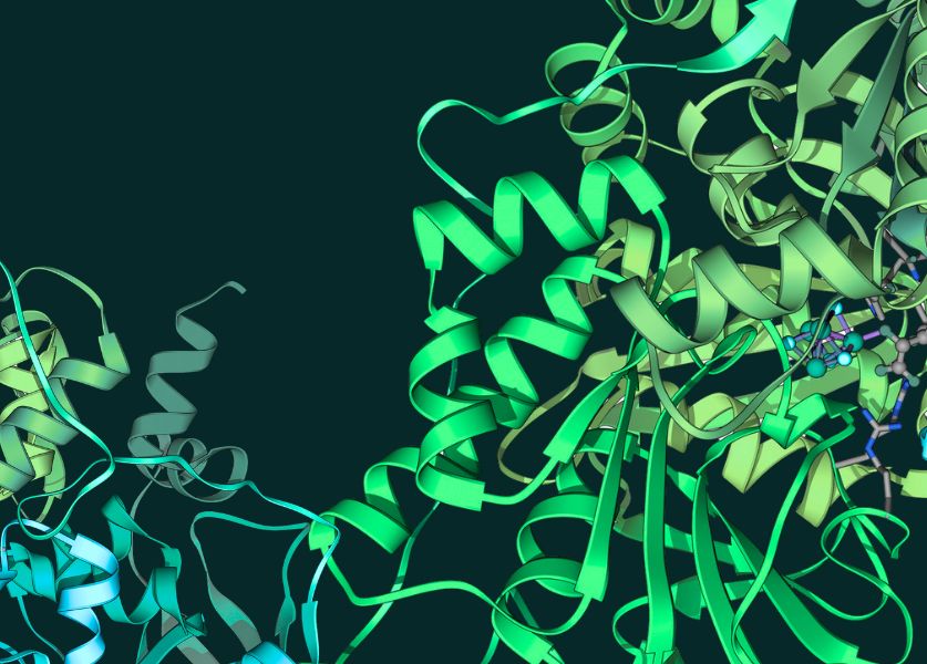 Plasmid DNA vaccines | Quality Assistance