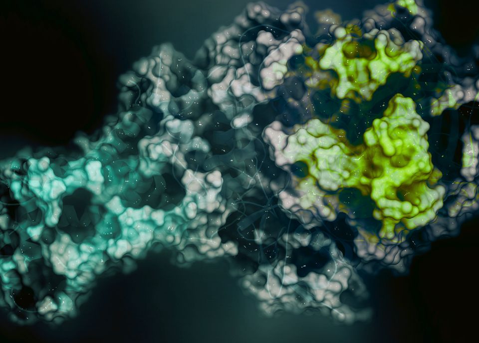 Plasmid DNA vaccines | Quality Assistance